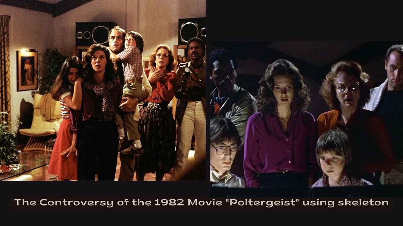 The 1982 Movie Poltergeist used real skeletons as - tymoff